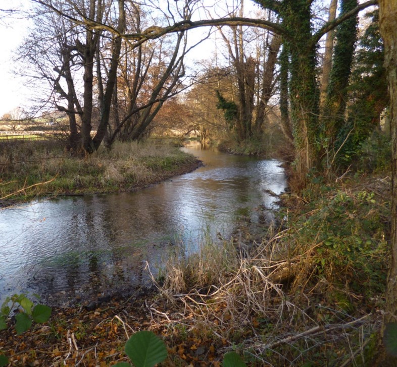 Citizen Science: water quality of the River Pang – Mike's Books